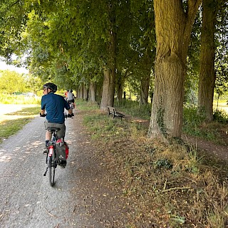 Aschaffenburg to Bamberg Bike and Barge Tour - Germany | Tripsite