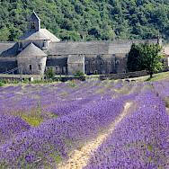 Provence Wilderness of Camargue Bike and Barge Tour - France | Tripsite