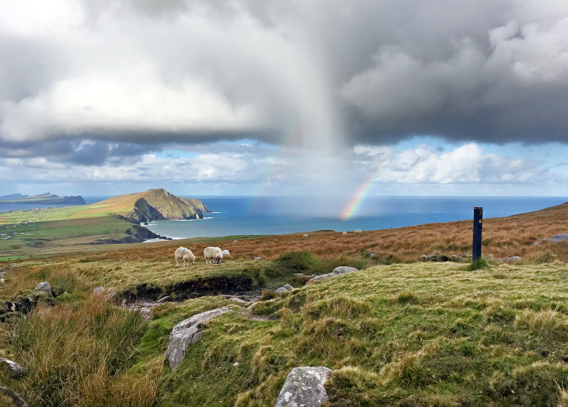 Dingle Ireland Dingle Way, 5 Day Walking Tour | Tailor Made Tours