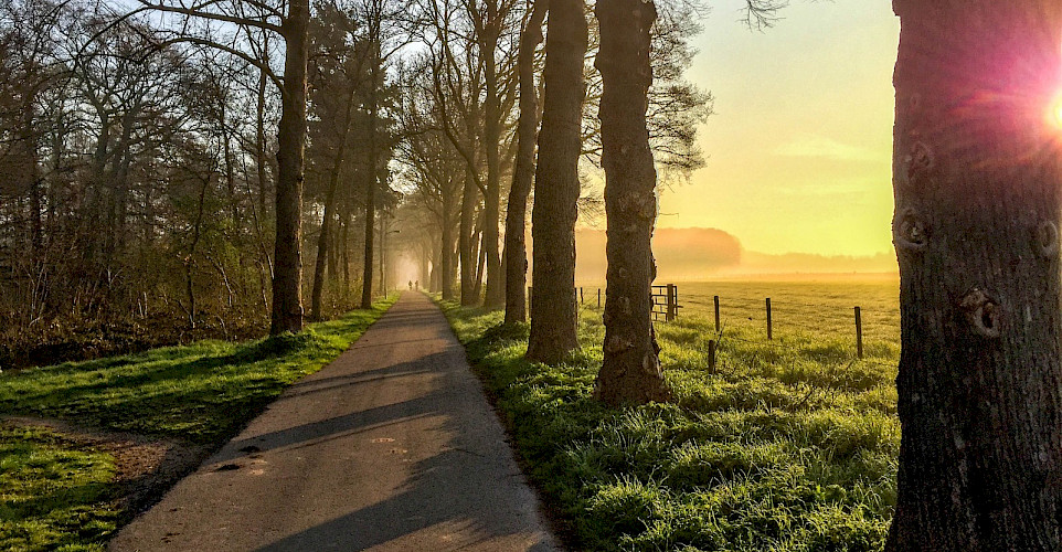 Rural Holland - Gelderland and De Hoge Veluwe Park - Holland | Tripsite